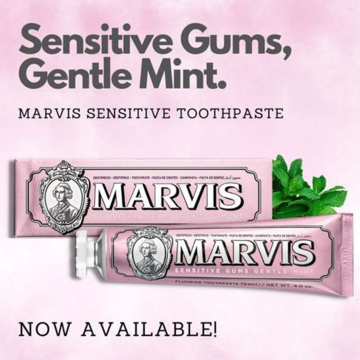 Marvis Sensitive Gums Gentle Mint Toothpaste 75ml – Chemist Warehouse UAE